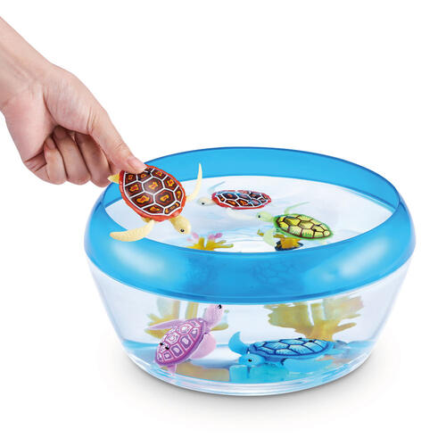 Robo Alive-隨行寵物龜 隨機出貨 | 台灣玩具“反”斗城官方網站 | Toys"R"Us Taiwan Official Website